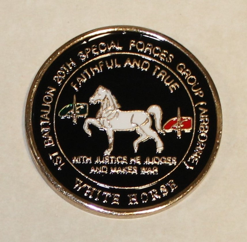 20th Special Forces Group (Airborne) 1st Battalion Army Challenge Coin ...