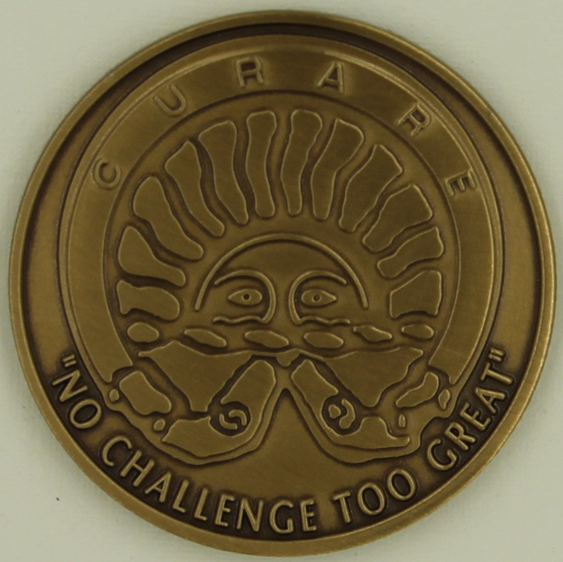 24th Infantry Division 224th Support Battalion Army Challenge Coin ...