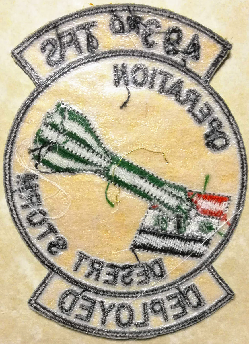 493rd Tactical Fighter Squadron Desert Storm Air Force Patch – Rolyat ...
