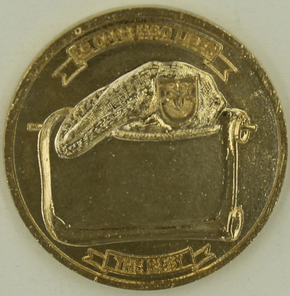 10th Special Forces Group Airborne Gold Plated Army Challenge Coin ...