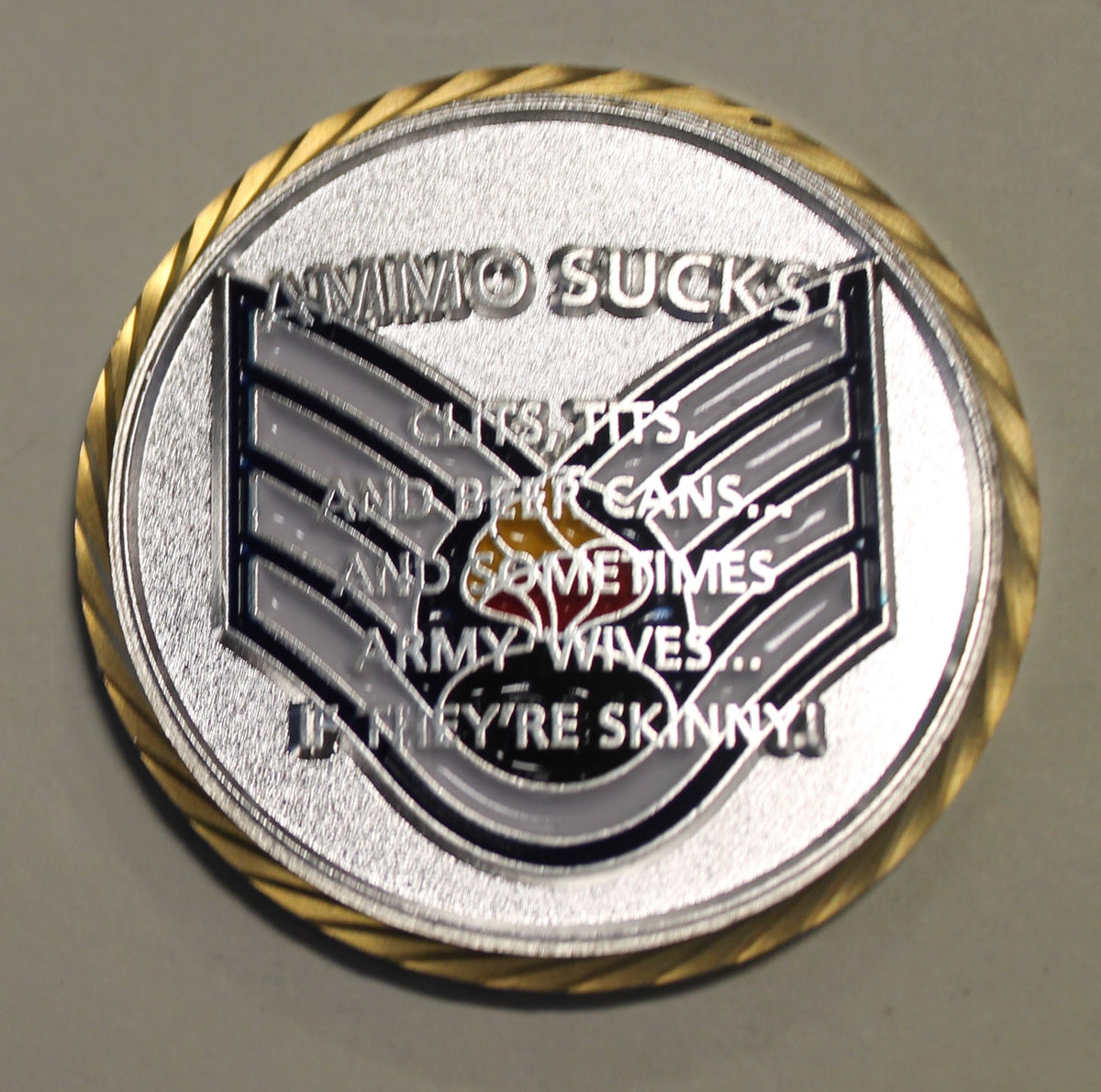 Ammo Sucks! Stew, Air Force IYAAYAS! Challenge Coin – Rolyat Military ...